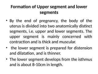First stage of labor.pptx physiology of first stage of labor | PPTX