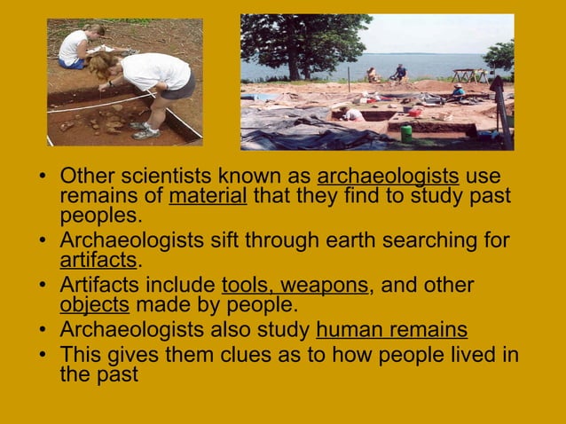 First texans powerpoint | PPT