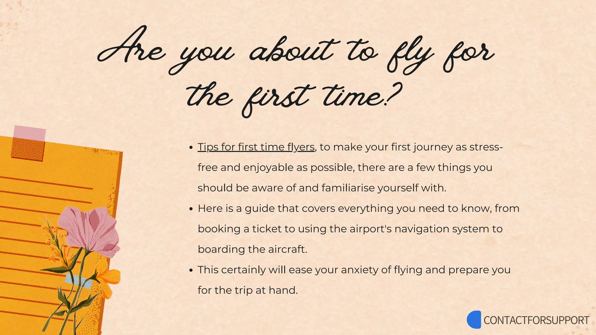 First Time Flyer Tips | PDF