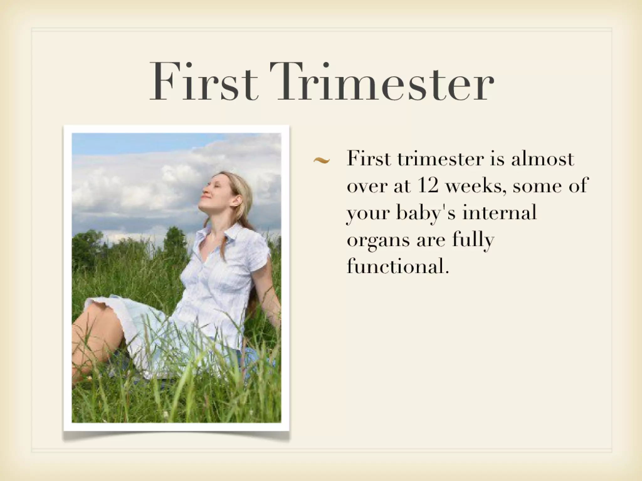 First Trimester 1 | PDF | Pregnancy | Reproductive Health