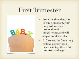 First Trimester 1 | PDF | Pregnancy | Reproductive Health