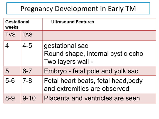 First trimester ultrasound