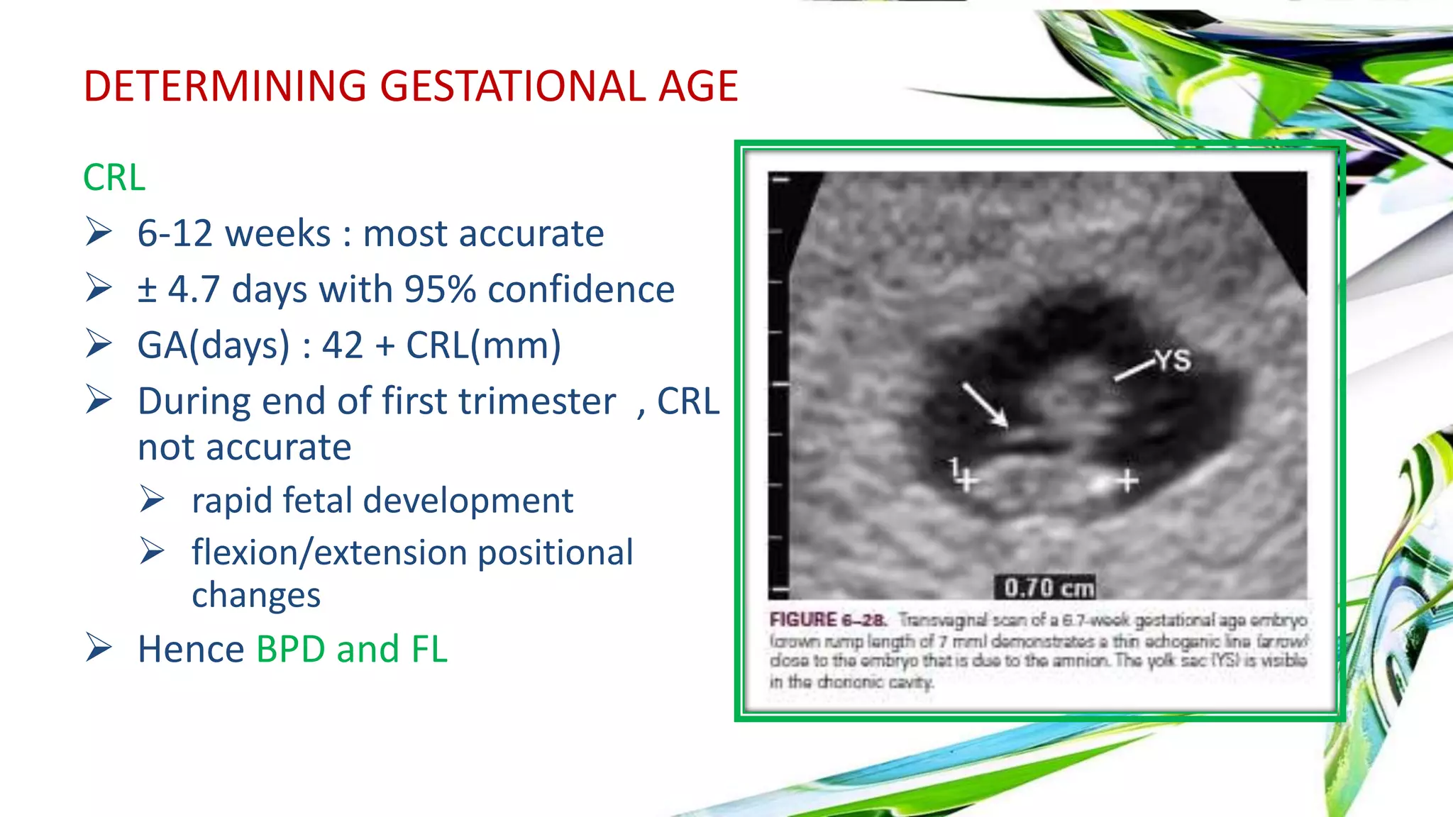 First trimester ultrasound | PPTX