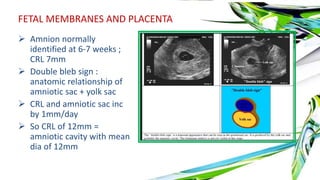 First trimester ultrasound | PPTX