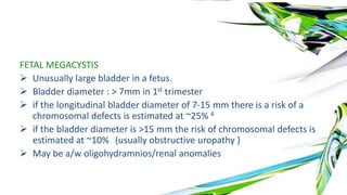 First trimester ultrasound | PPTX