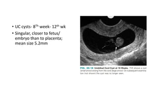 First trimester USG | PPTX