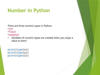 Comprehensive Introduction to Python Programming Language and Its ...