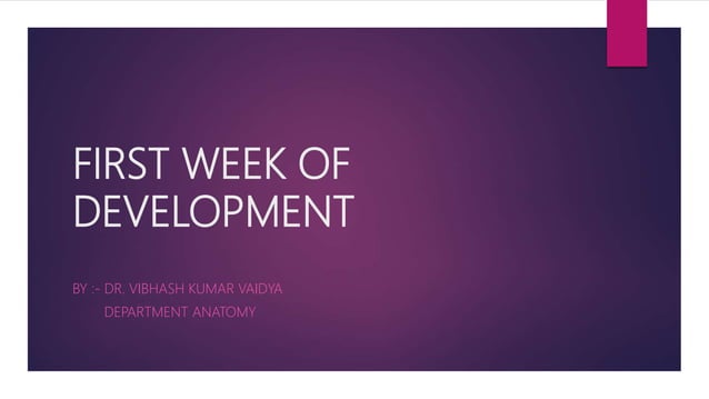 First week of development | PPTX