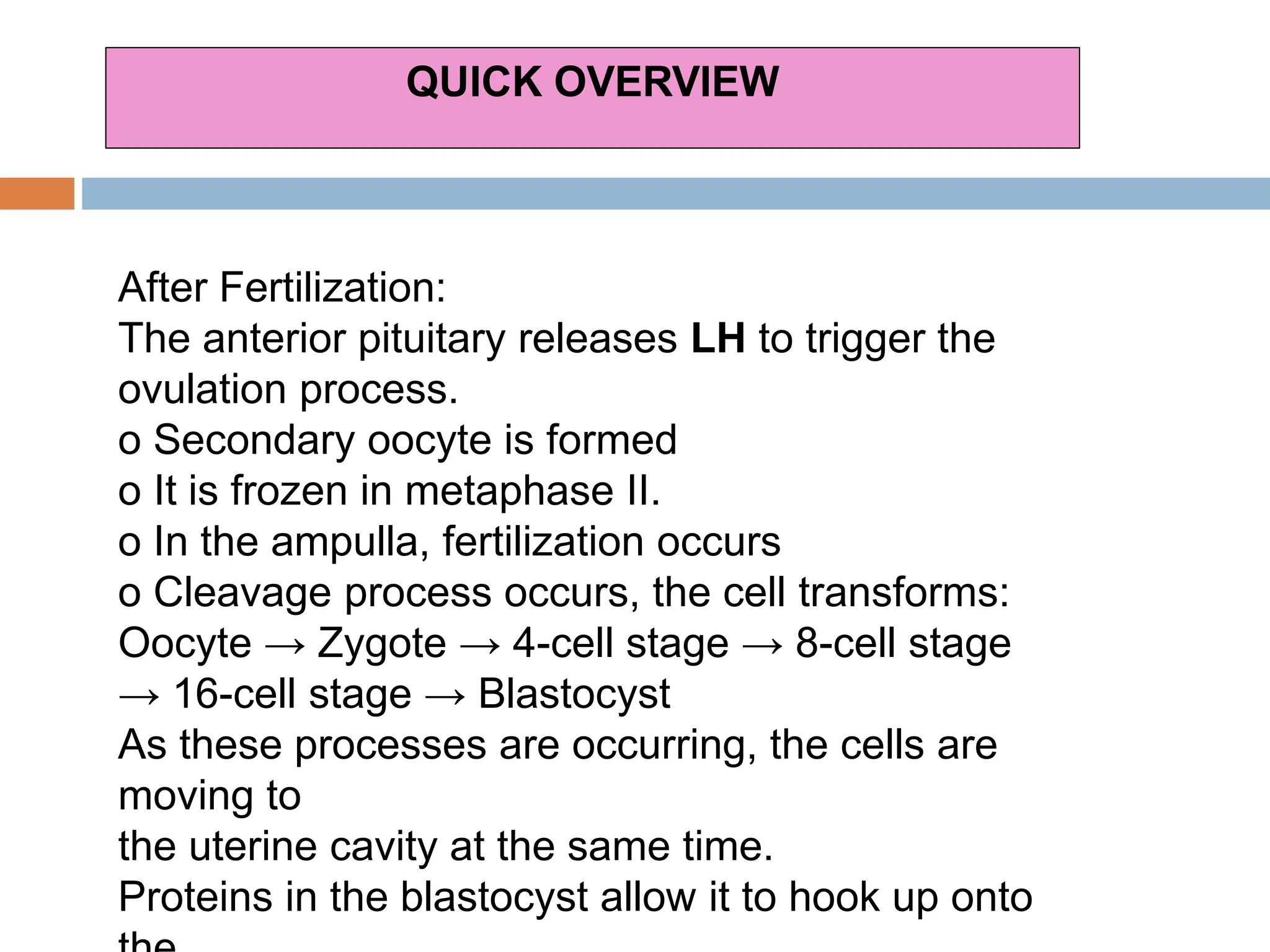 First week of development after fertilization.pptx
