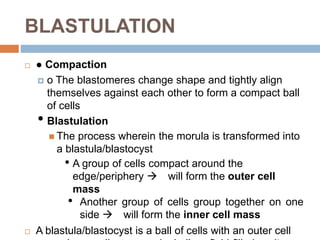 First week of development after fertilization.pptx