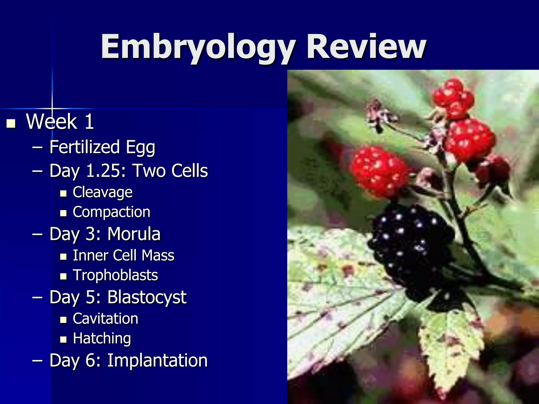 First week of embryology | PPTX