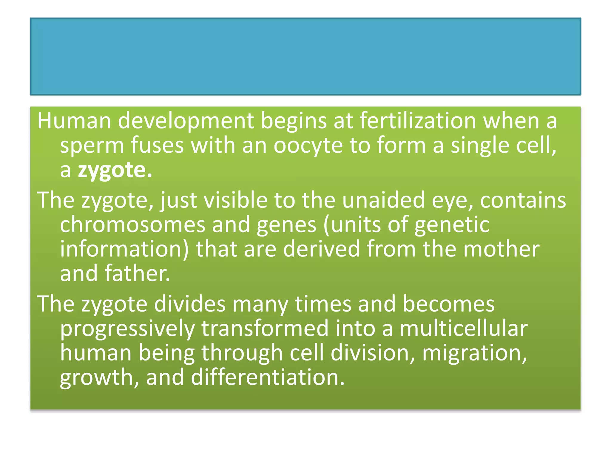 First week of human development | PPTX
