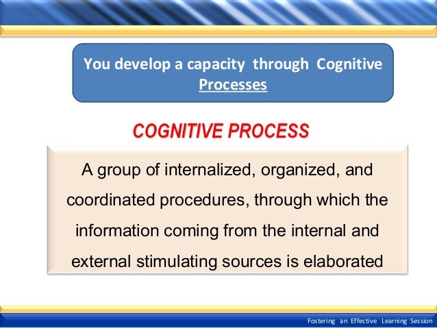 Cognitive processes - serydyna