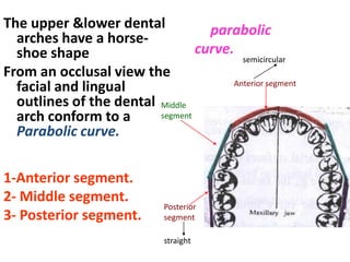 09. Occlusion (Lecture) - Dentition | PPTX