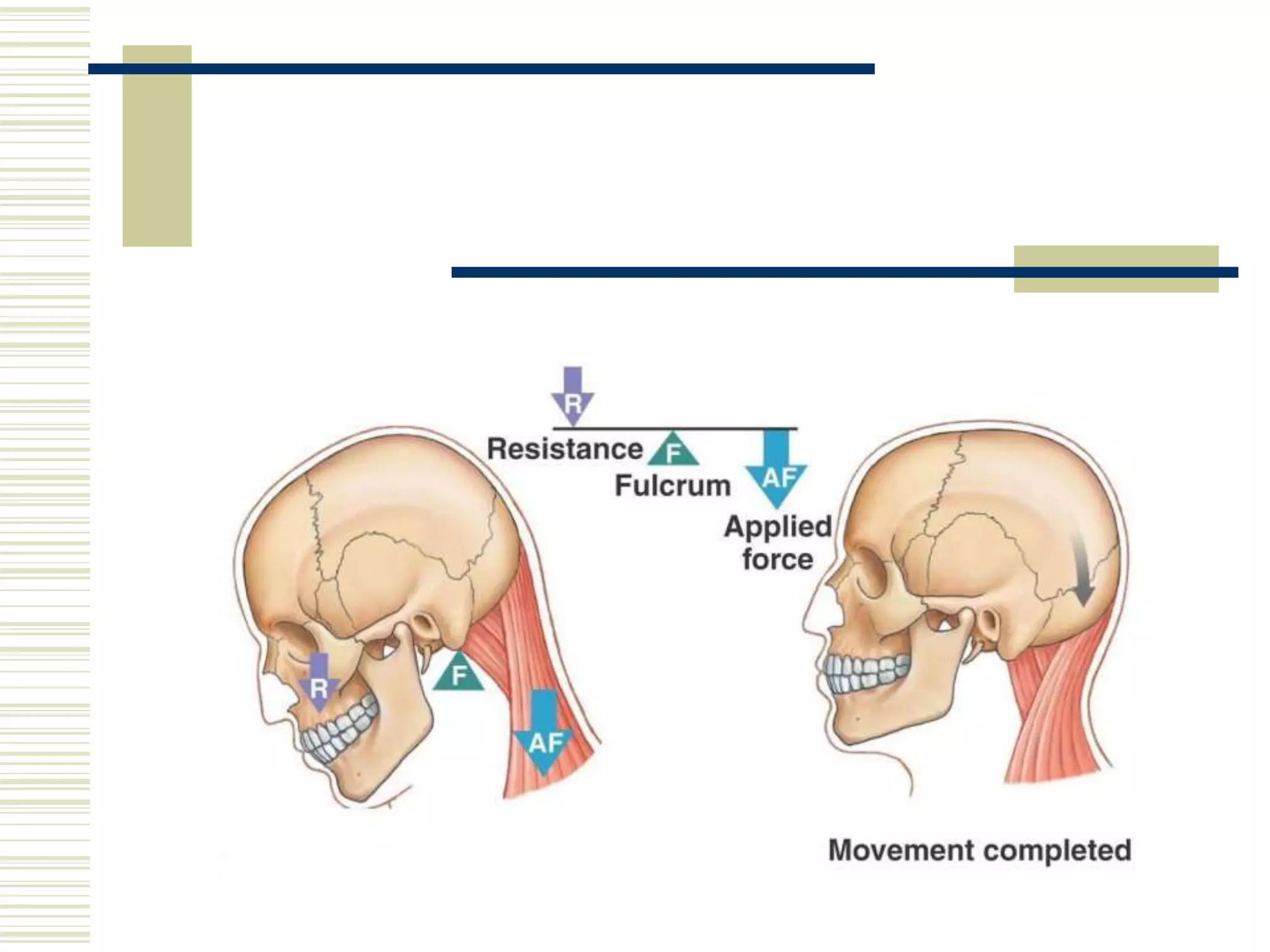 Levers in Physiotherapy | PPTX