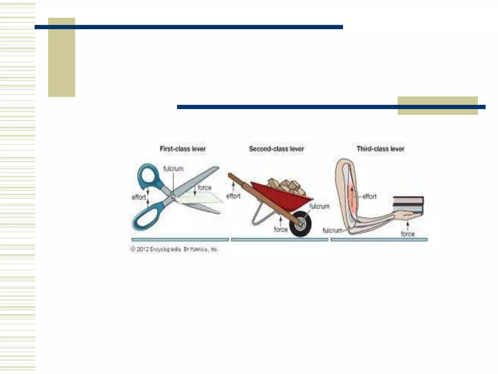 Levers in Physiotherapy | PPTX