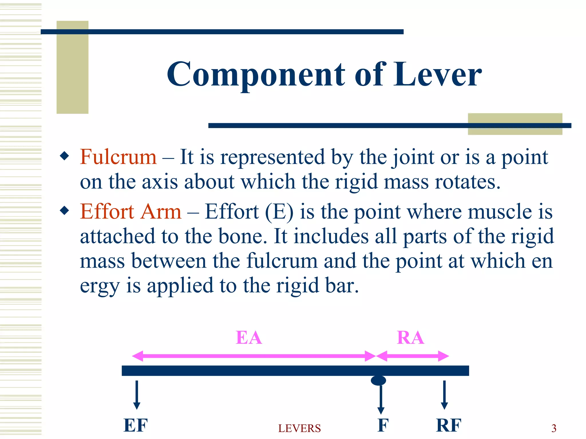 Levers in Physiotherapy | PPTX