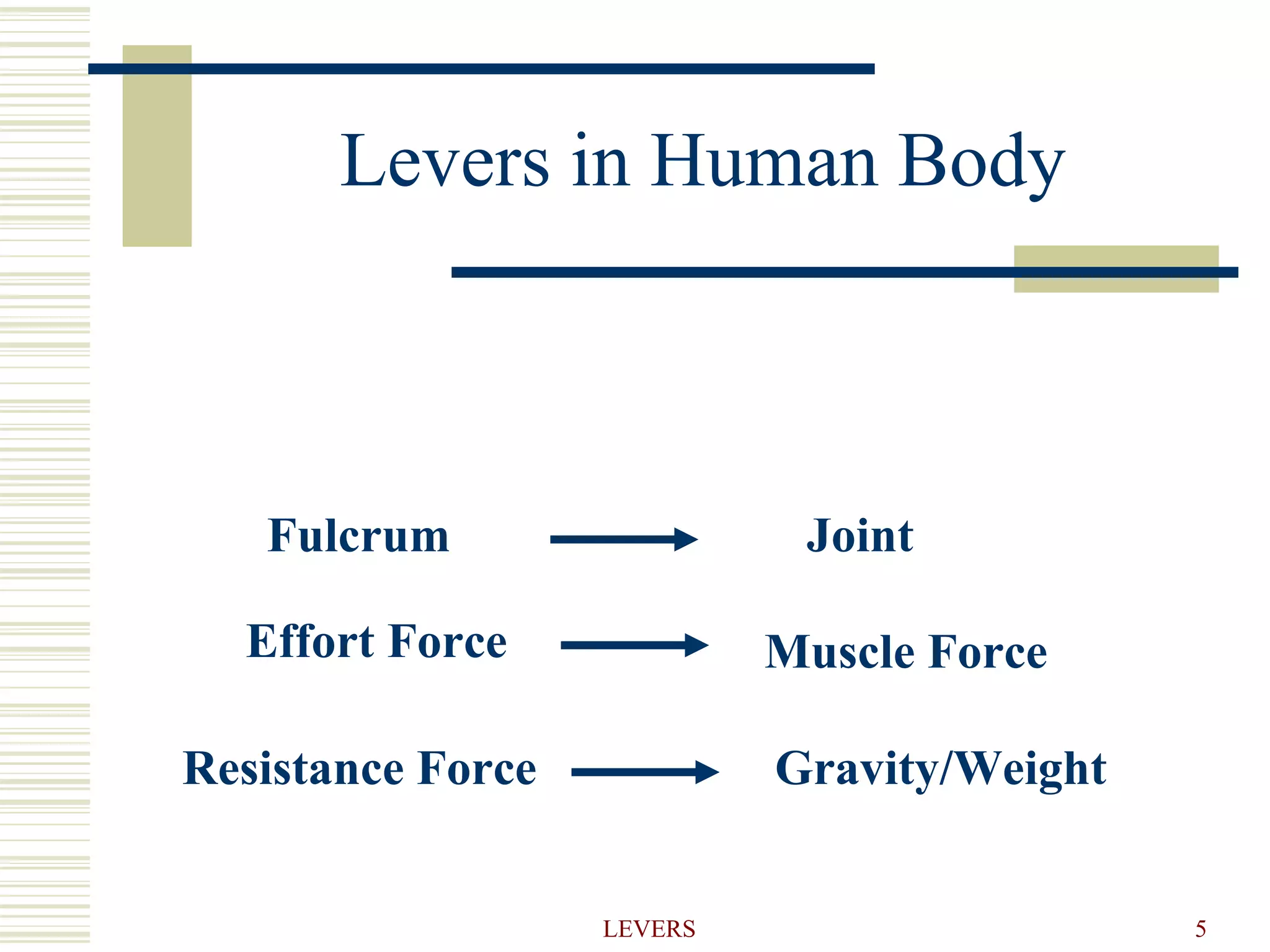 Levers in Physiotherapy | PPTX