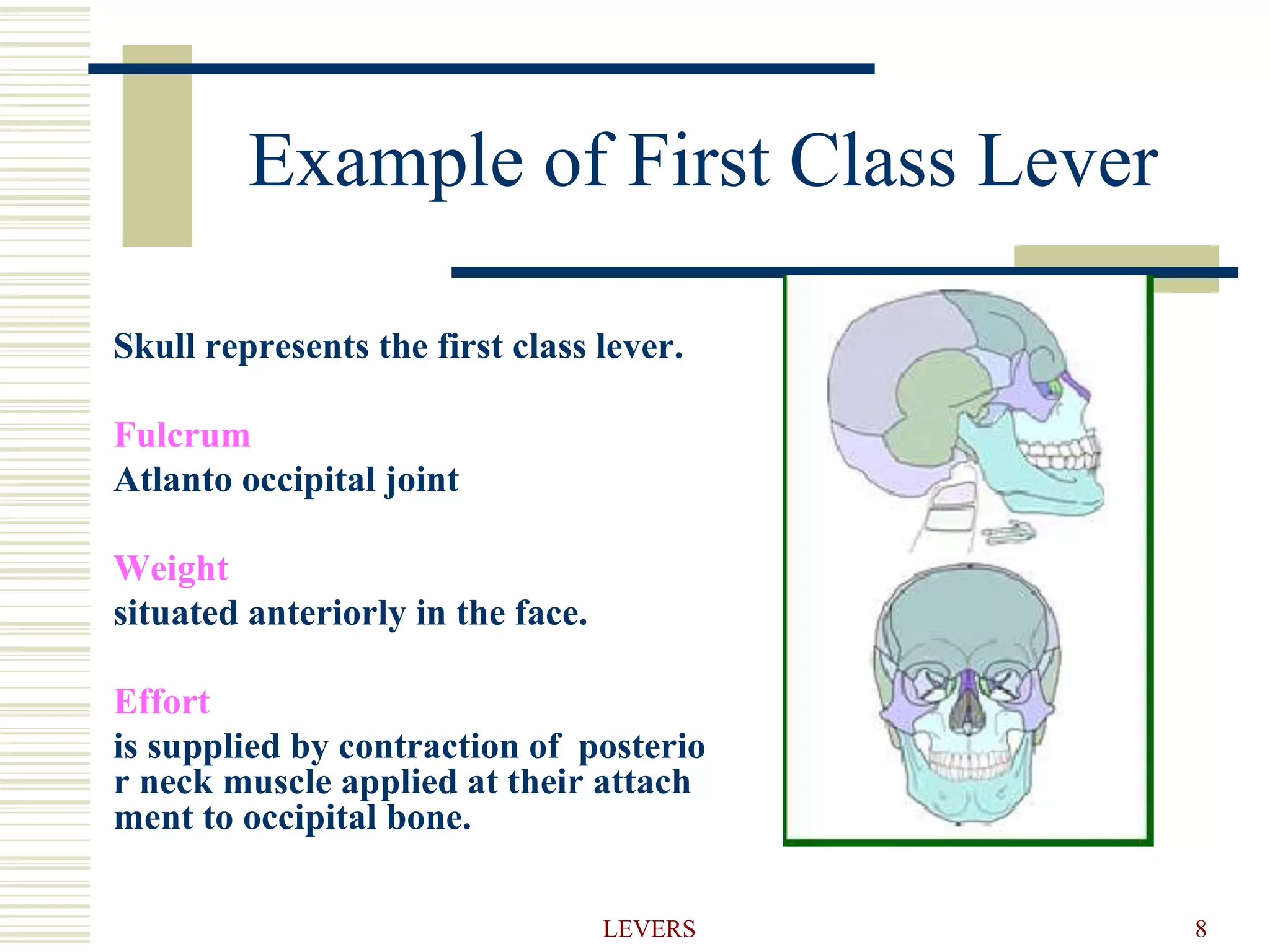 Levers in Physiotherapy | PPTX