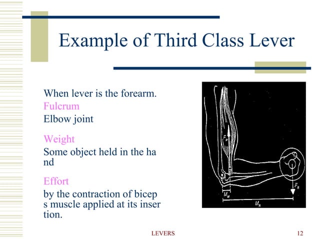 Levers in Physiotherapy | PPTX