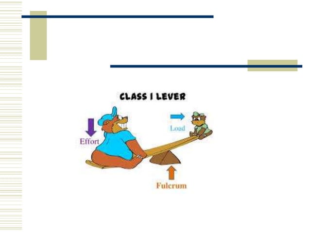 Levers in Physiotherapy | PPTX