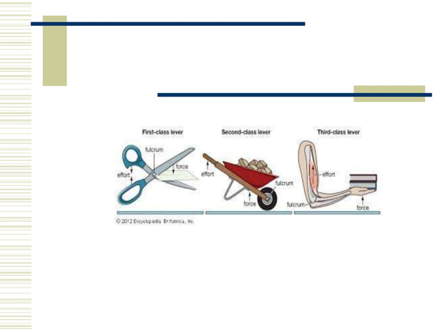 Levers in Physiotherapy | PPTX