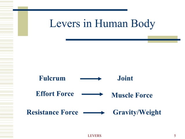 Levers in Physiotherapy | PPTX