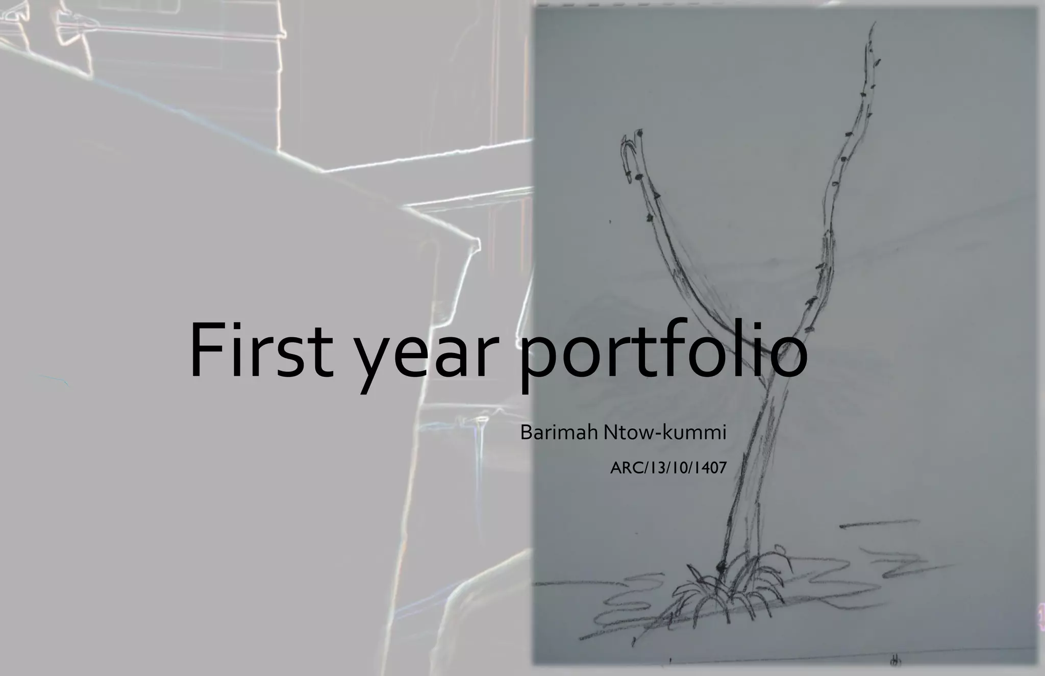 First year portfolio | PDF
