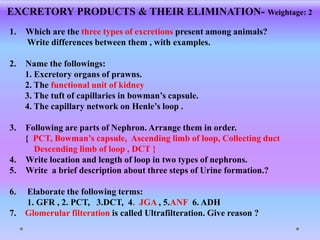 Zoology First Year Important Questions | Exam Tips and Tricks | PPTX