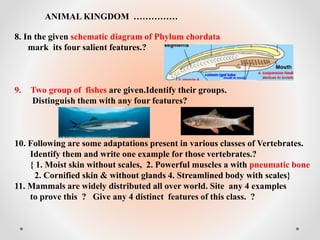Zoology First Year Important Questions | Exam Tips and Tricks | PPTX