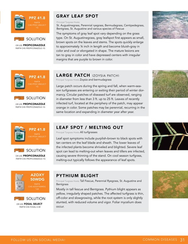 FIS Outdoor Product Catalog | PDF