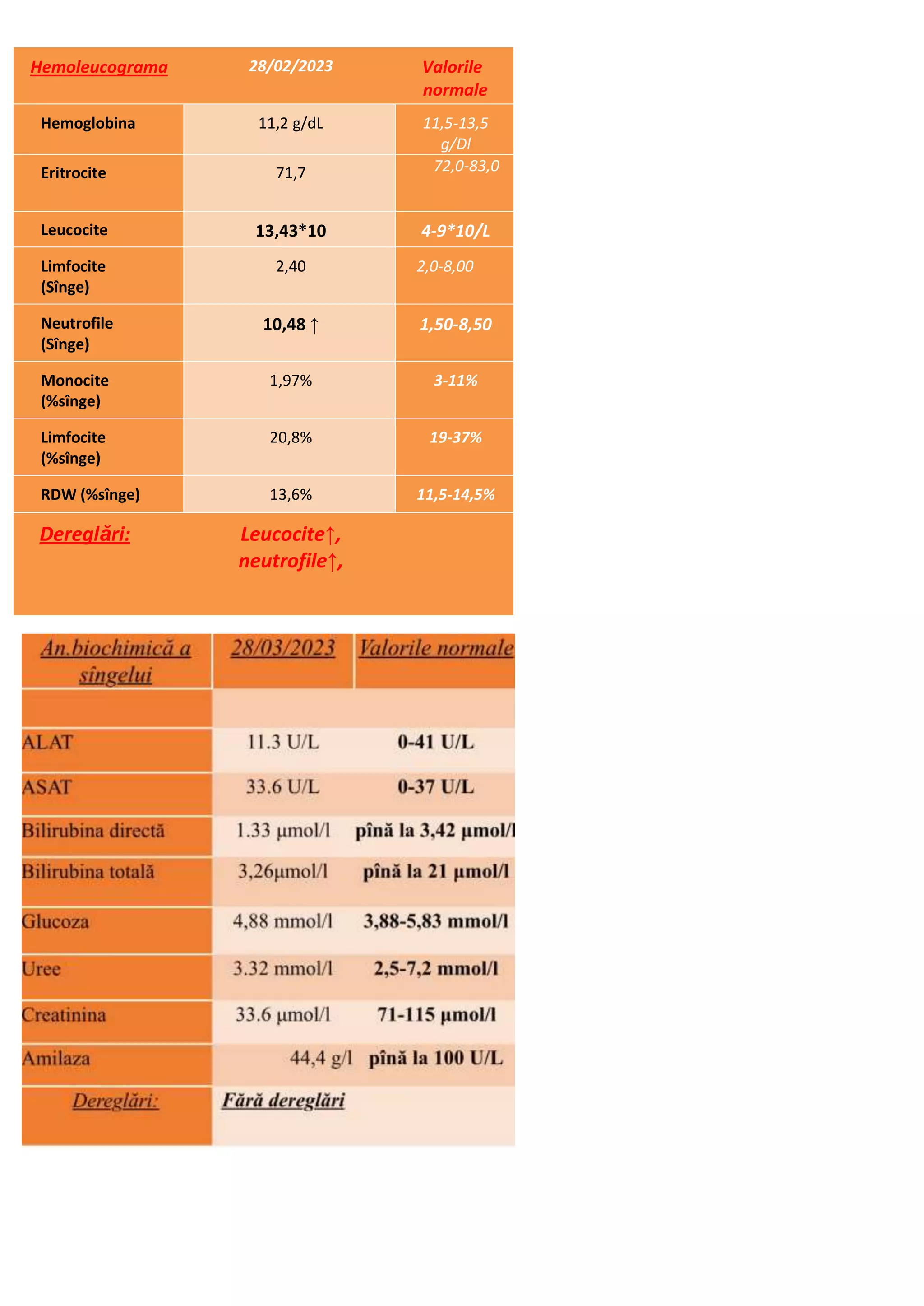 fisa cneagnitchi doinita.docx