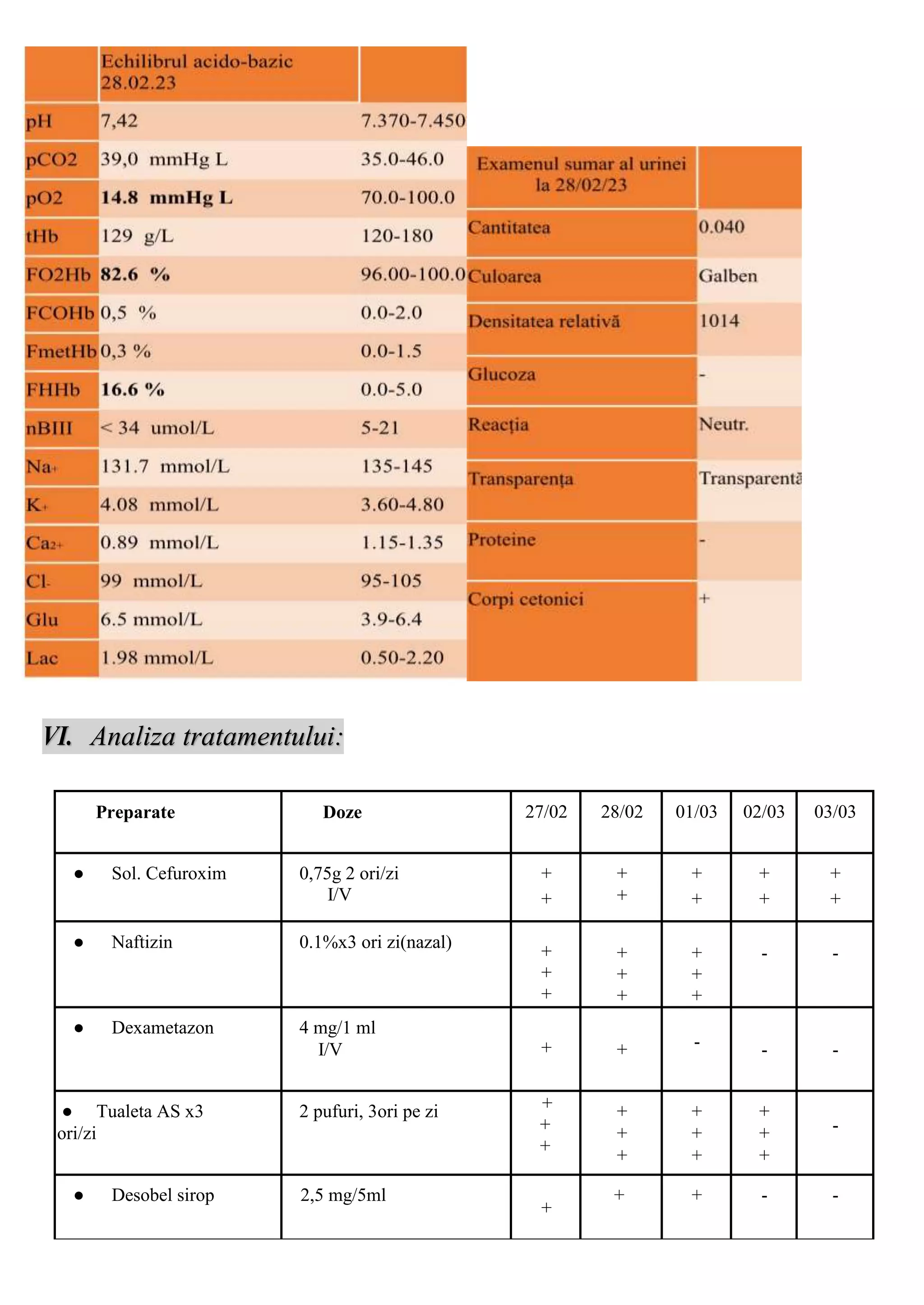 fisa cneagnitchi doinita.docx