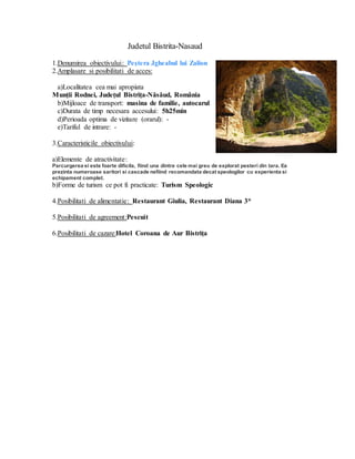 Fisa de documentare | PDF