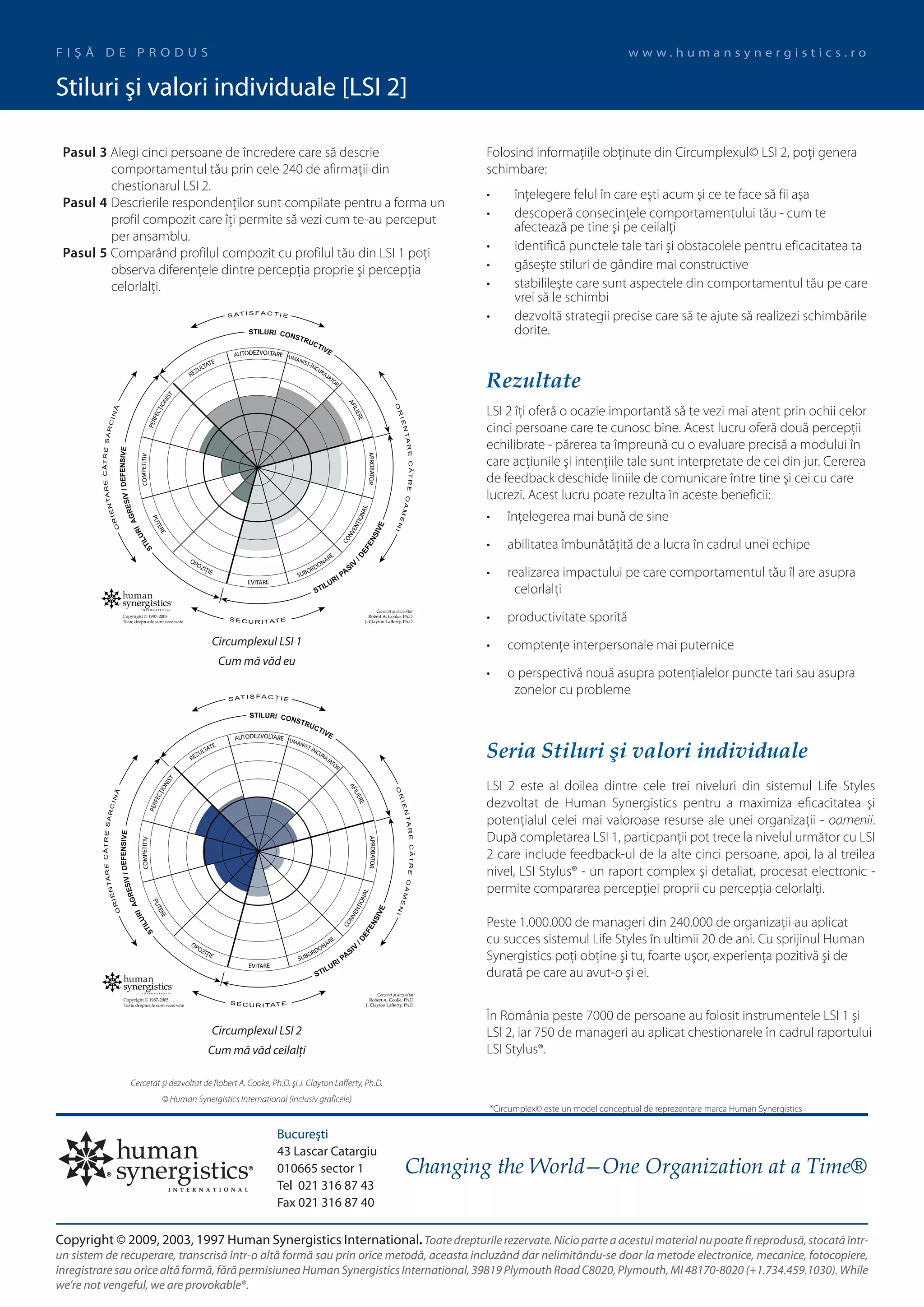 LSI 2 - Stiluri si valori individuale - Descrierea Celorlalti | PDF