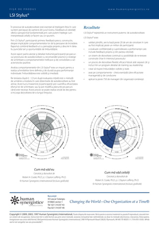 LSI Stylus - Stiluri si valori individuale | PDF