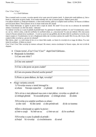 fisa_lectura_cioc_cioc_cioc.docx