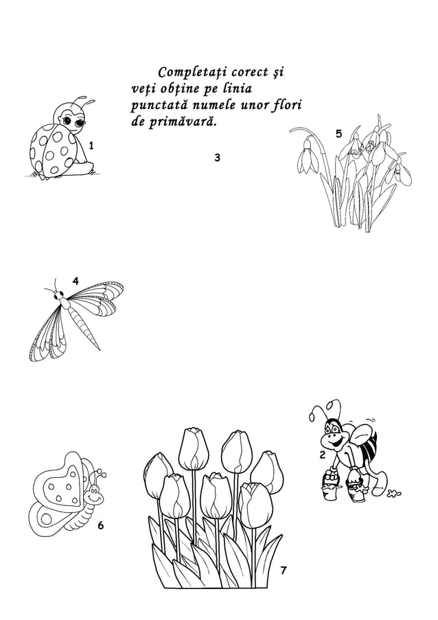 Fisa lucru primavara | DOC