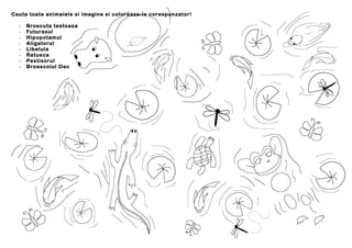 Fisa mat1 | DOC