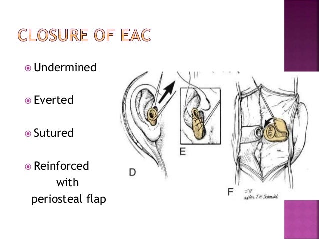 Fisch approaches Dr Zeeshan Ahmad