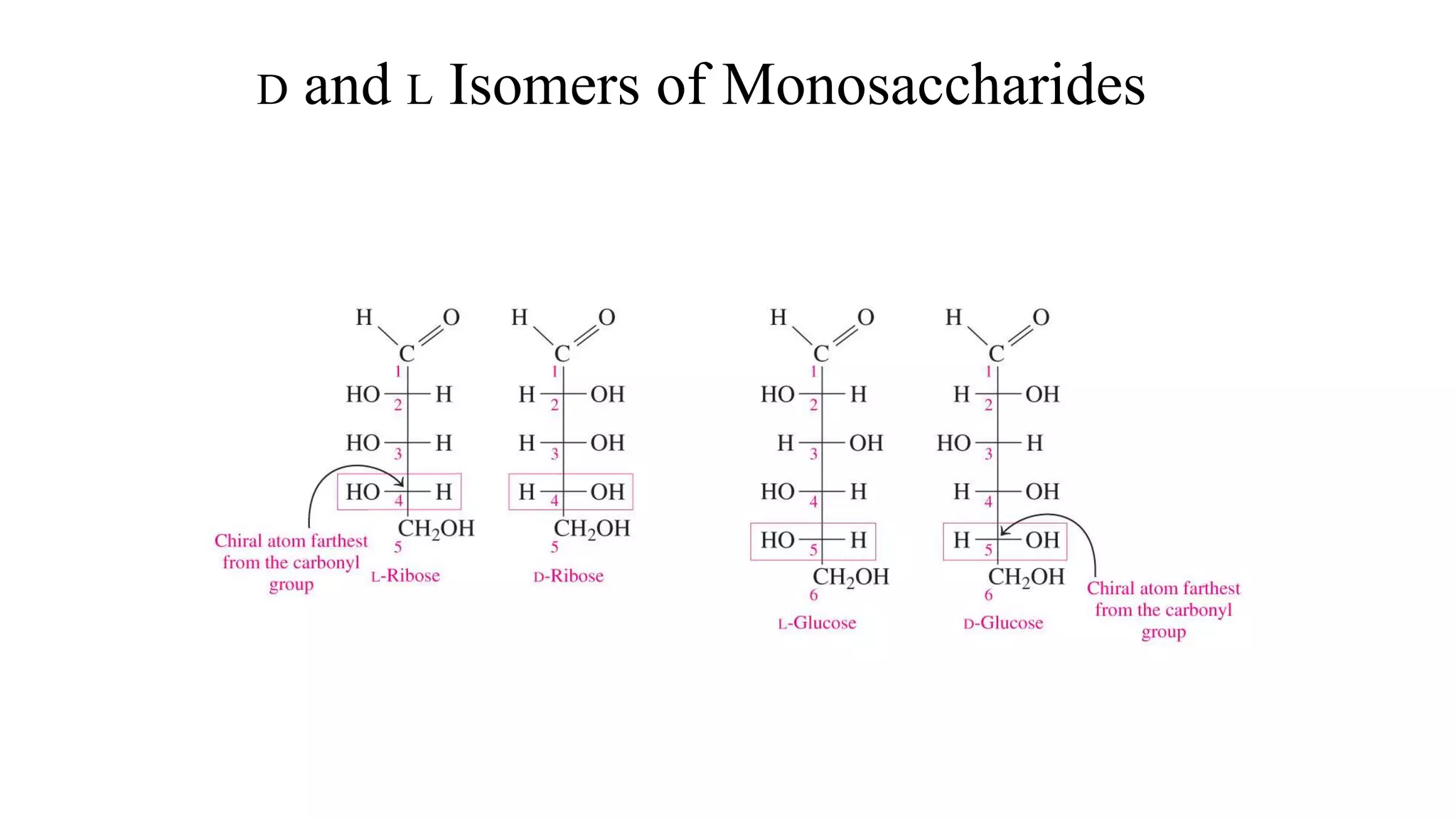 Fischer projections of monosaccharides | PPTX