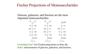 Lactose Fischer Projection