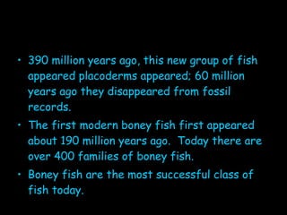 Fish | PPT