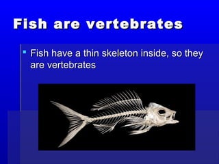 Fish | PPT
