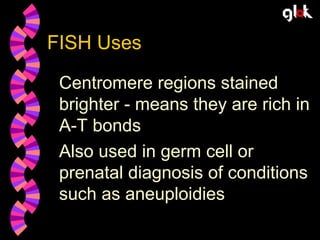 Fluorescence in situ Hybridization FISH #glok92 | PPT