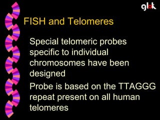 Fluorescence in situ Hybridization FISH #glok92 | PPT