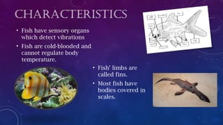 Fish, by Diana,Sonia and Olimpia | PPT