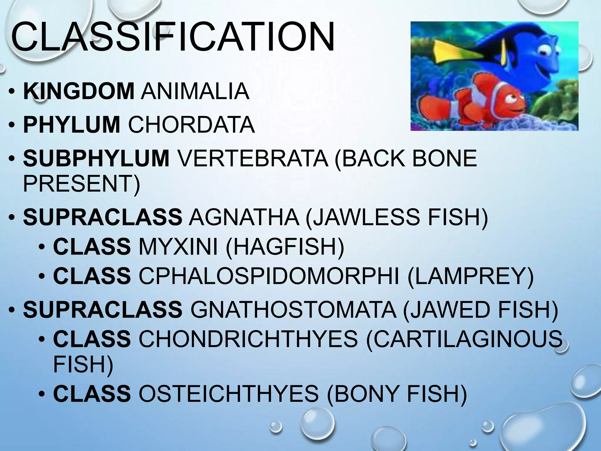 Fish Taxonomy & Charateristics | PPT