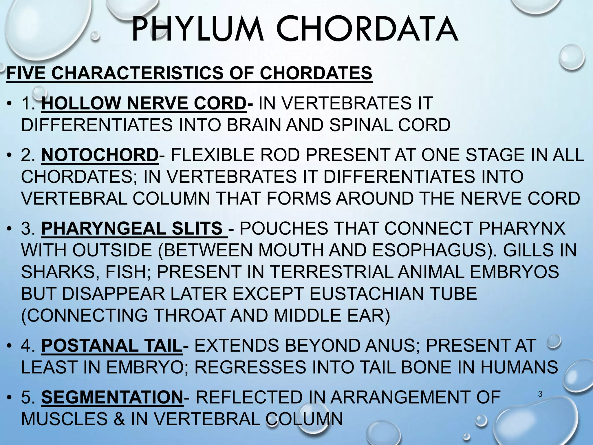 Fish Taxonomy & Charateristics | PPT