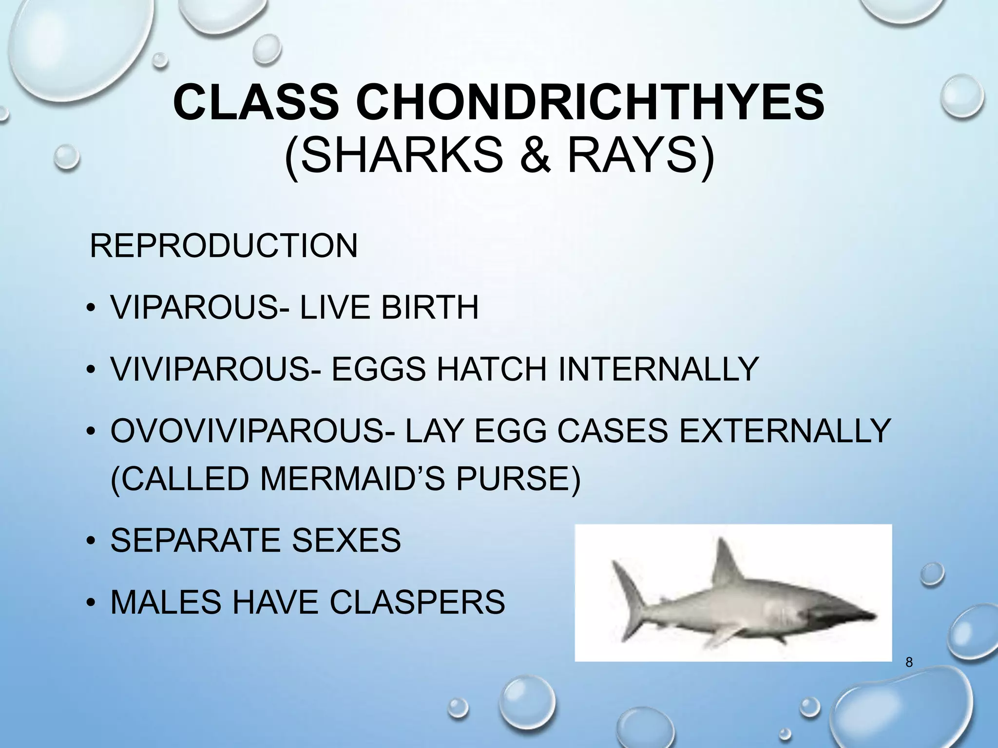 Fish Taxonomy & Charateristics | PPT